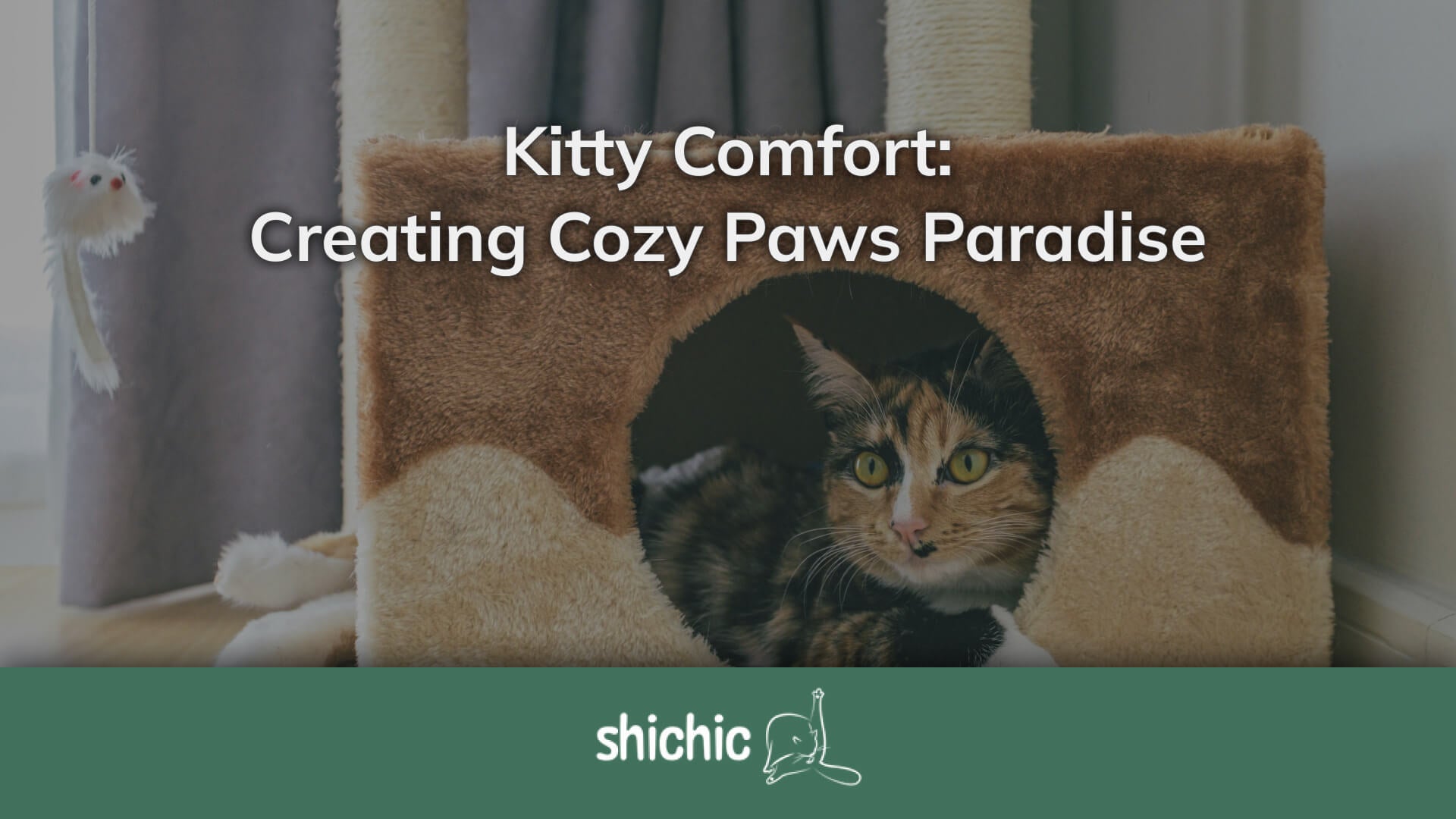 Kitty Comfort: Creating Cozy Paws Paradise – Shichic