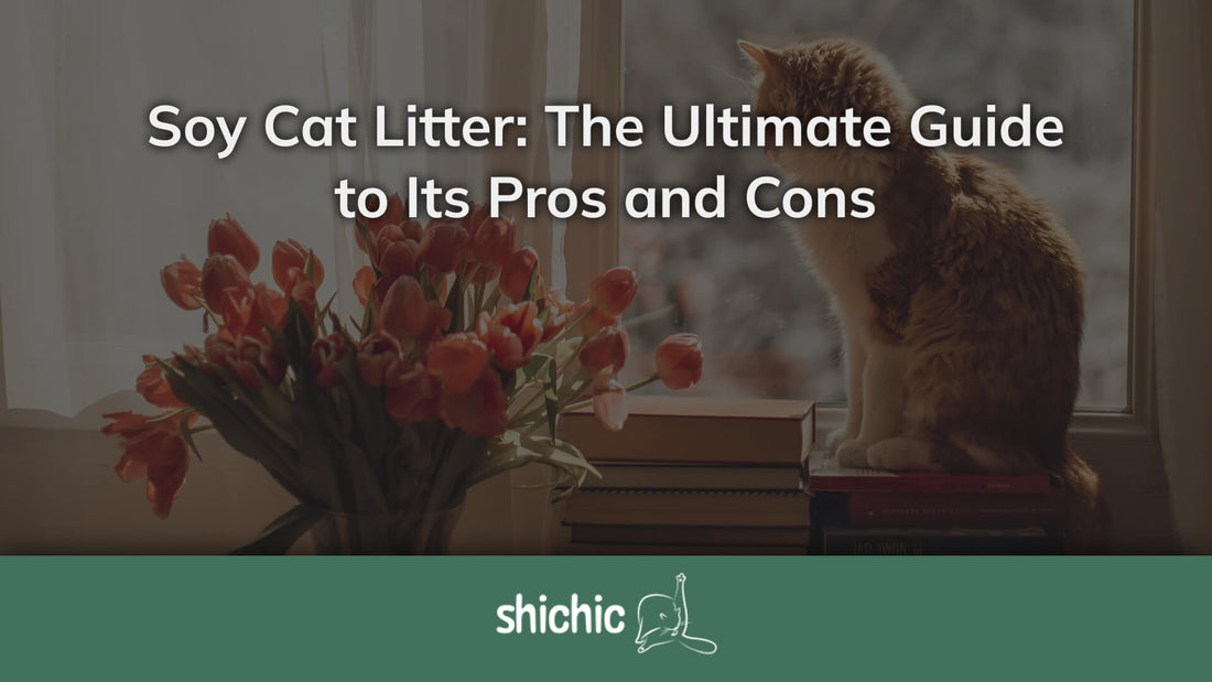 Soy Cat Litter: The Ultimate Guide to Its Pros & Cons – Shichic