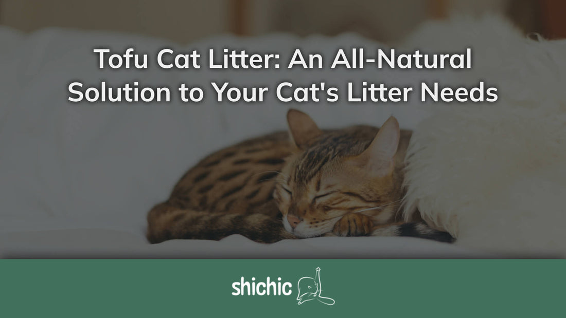 Tofu Cat Litter: A Natural Solution to Cats' Needs – Shichic