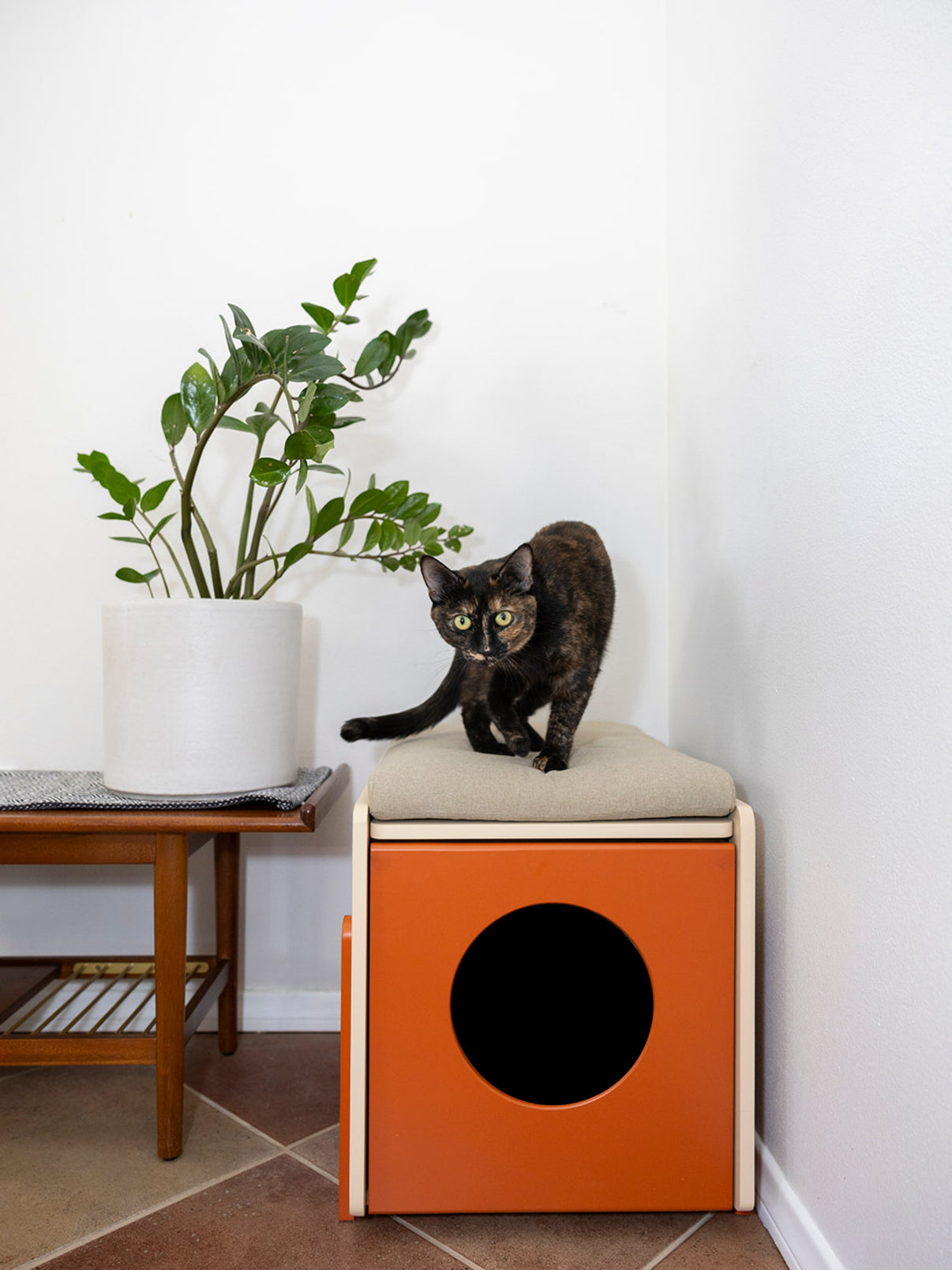 Poop Nest - Small Litter Box Enclosure for Little Furballs | Shichic