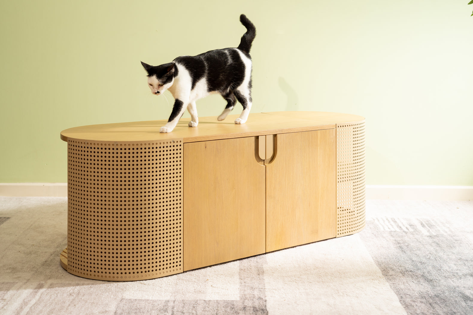 Poop Lounge - Stylish Cat Litter Box Furniture | Shichic