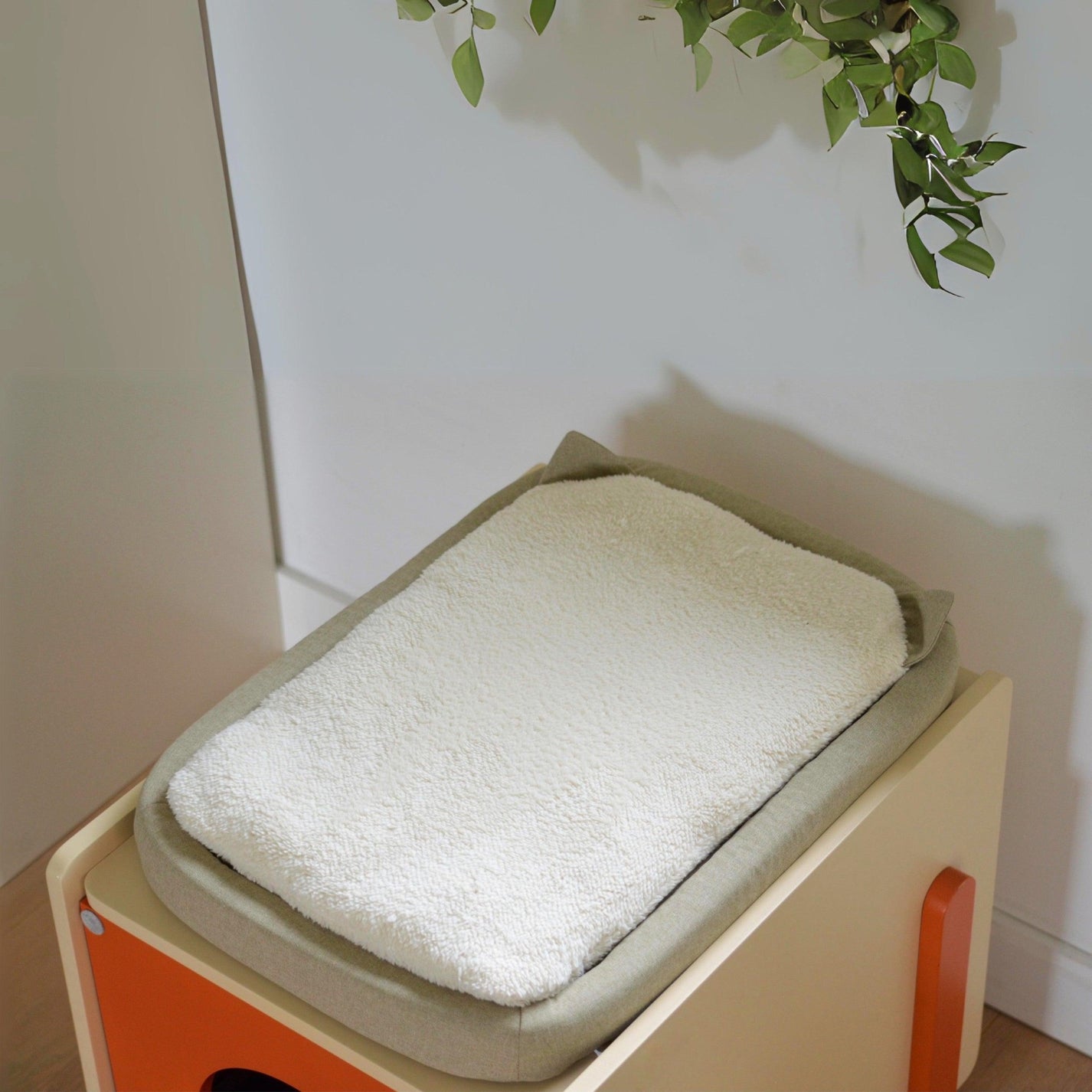 Quality and Sustainable Cat Furniture Store | Shichic