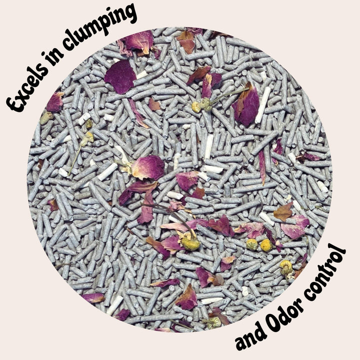 Poop Palace - Cat Litter Robot Enclosure - Modern cat furniture – Shichic