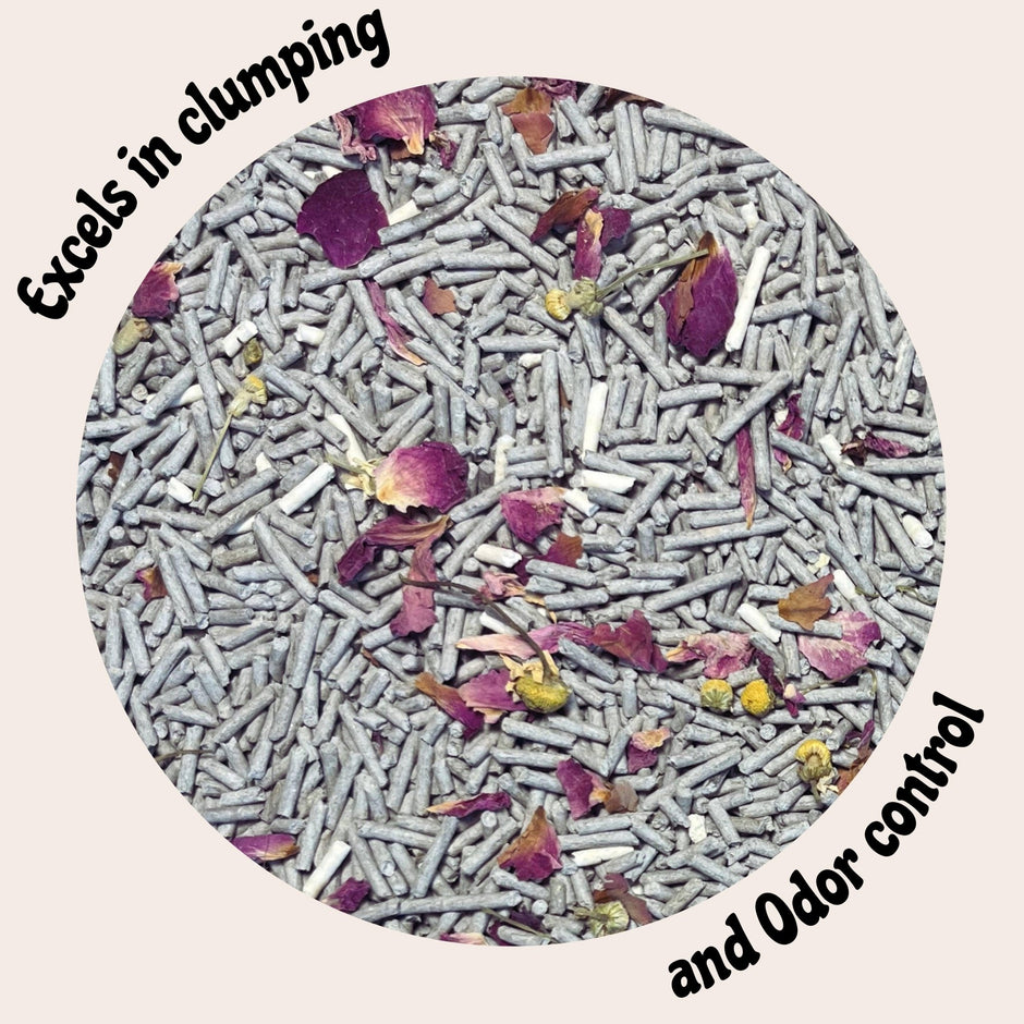 Poop Palace - Cat Litter Robot Enclosure - Modern cat furniture – Shichic