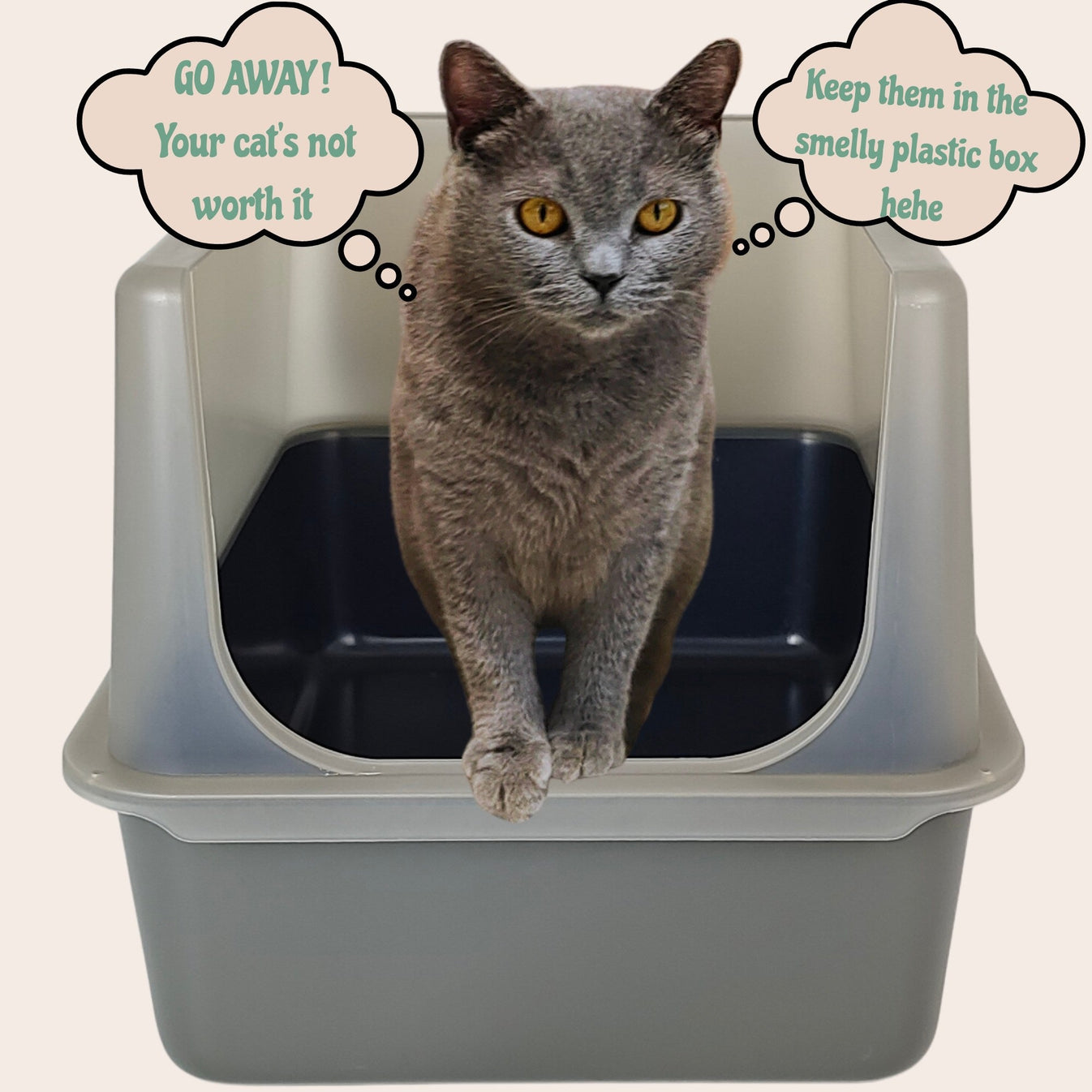Durable Nonstick steel cat litter box | Marbeloo by Shichic