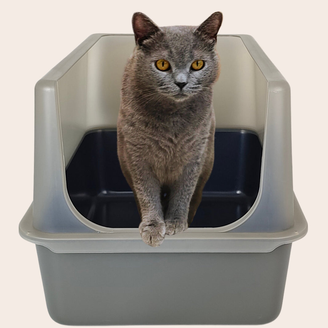 Poop Lounge - Stylish Cat Litter Box Furniture | Shichic
