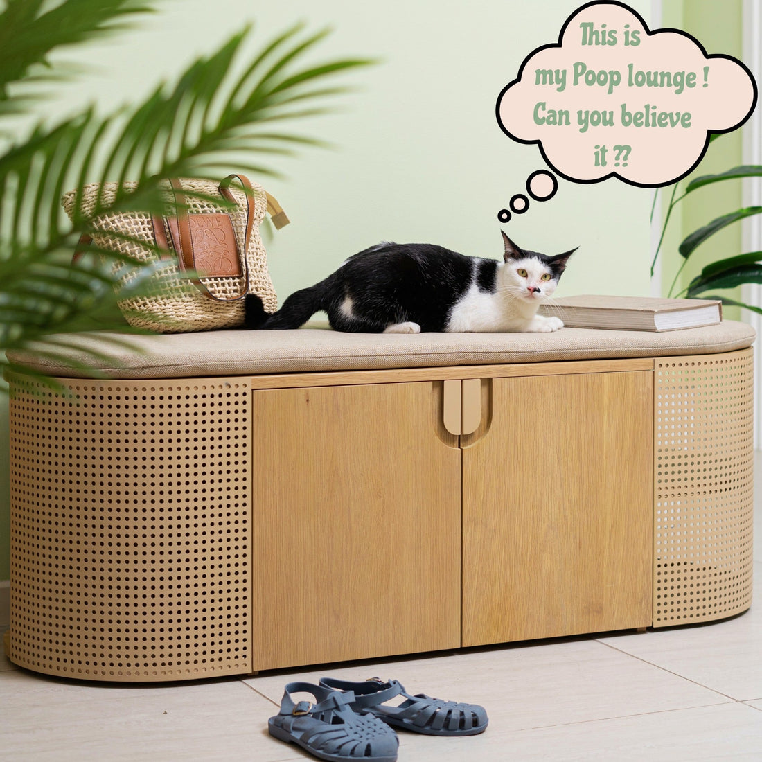 Poop Lounge - Stylish Cat Litter Box Furniture | Shichic
