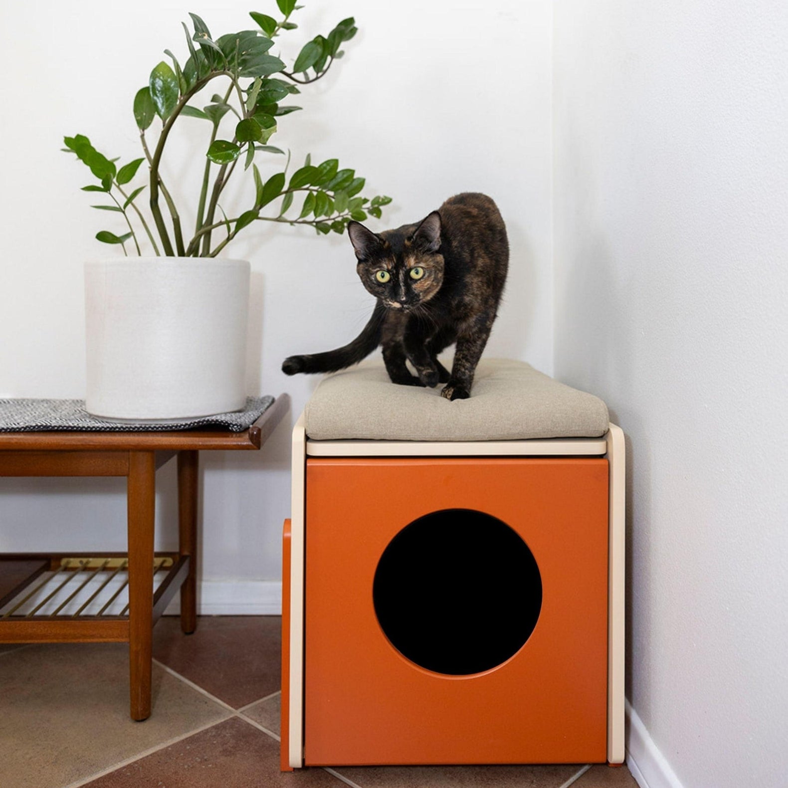 Poop Nest - Small Litter Box Enclosure for Little Furballs | Shichic